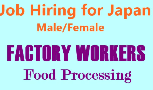 17 Factories Worker Jobs In Japan - Latest Jobs Houses Japan